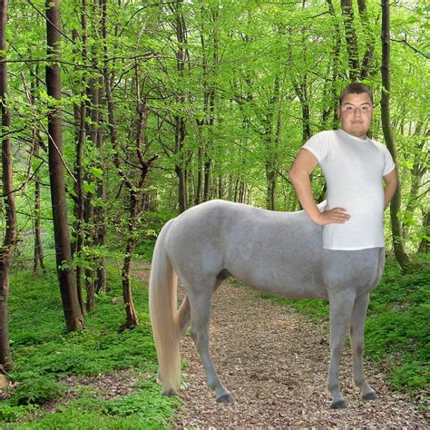 Disney Oc Gabriel The Centaur Boy By Gabediva04 On Deviantart