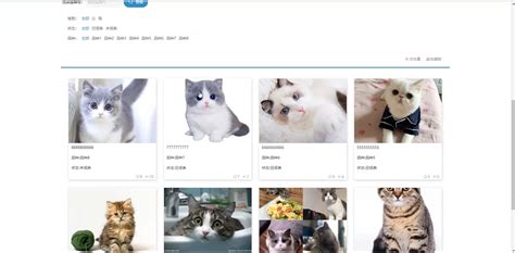含文档ppt源码等 精品基于python实现的流浪猫援助网站救助与实现 Csdn博客