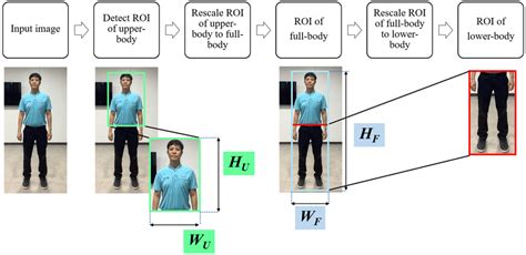 The Process For Lower Body Detection Using Upper Body Ratio Download Scientific Diagram