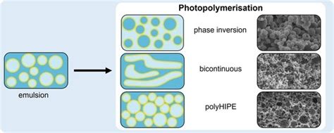 Polymers Free Full Text Emulsion Templated Porous Polythiol Enes Influence Of
