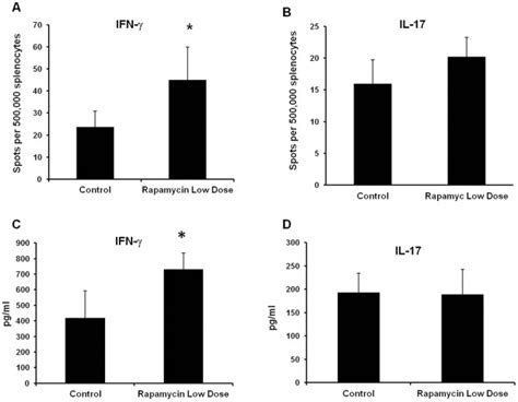 Eau Induction And Rapamycin Treatment Are Described Previously On Day