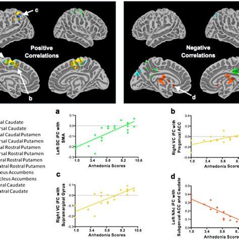 Intrinsic Functional Connectivity Ifc Correlations With Anhedonia