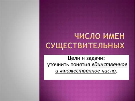 Число имен существительных - online presentation