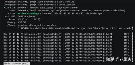 在 Centos 8 系统上安装 Jenkins 的全过程 知乎