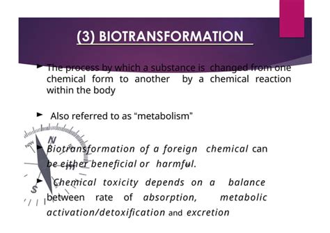 A Presentation On The Toxicokinetics Newpptx