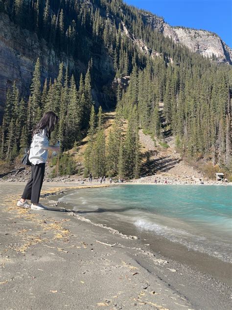 [캐나다 밴프 혼자여행] 밴프국립공원 레이크루이스 Lake Louise 🏔️ 가는방법과 트레킹코스 교통편예매 Roam버스