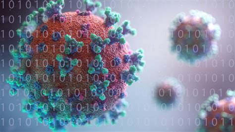 An Intro To Machine Learning For Biomedical Scientists By Guadalupe