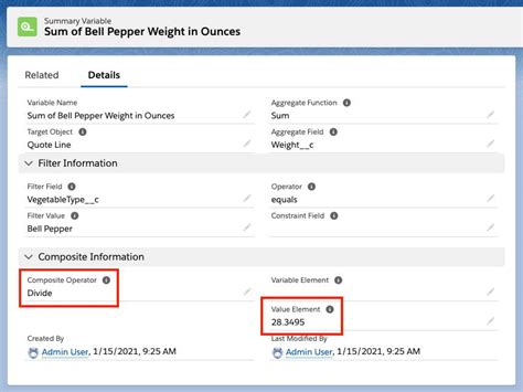 Summarize Data With Summary Variables Salesforce Trailhead
