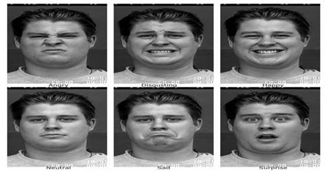 Images From Each Of The Fer2013s Emotion Classes B Cmu Multipie The