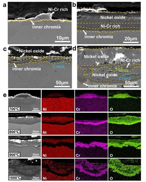 Cross Sectional Microstructures SE Images Of Oxide Scales Formed On