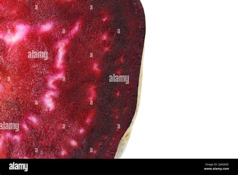 Macro Beetroot Texture Beetroot Slice Closeup Beetroot Slice