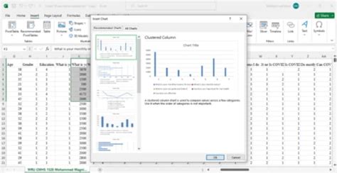 Perform Data Analysis Using Spss And Excel Software By Mohammedmuze