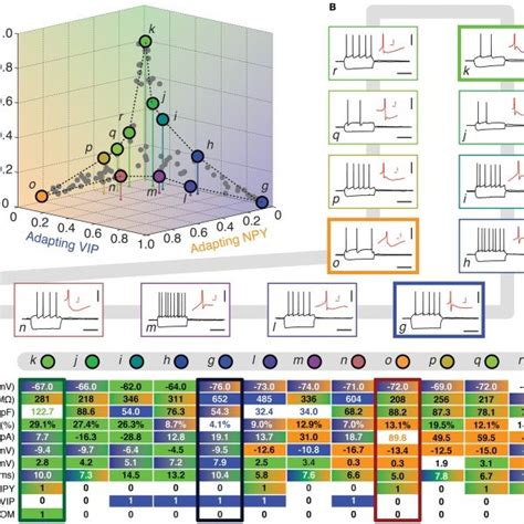 Emergence Of Archetypes Fuzzy Partitions With Decreasing μ Values Are