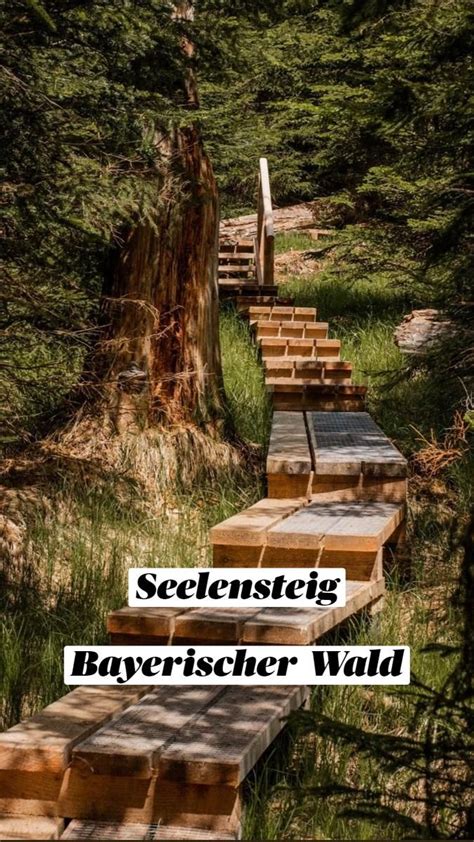 Seelensteig Bayerischer Wald Ferien reisen Schöne orte in bayern