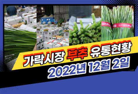 경매사 일일보고 12월 2일자 가락시장 부추 경매동향을 살펴보겠습니다 네이버 블로그