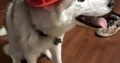 I Worked At A Residential Facility For Sexually Maladapted Juvenile