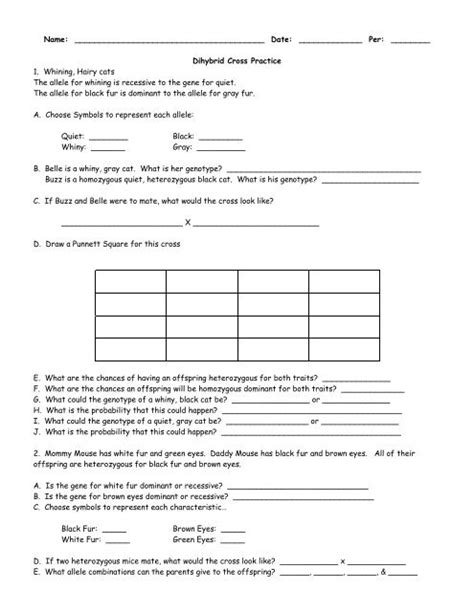 Dihybrid Punnett Square Practice Worksheet Dihybrid Cross Problems