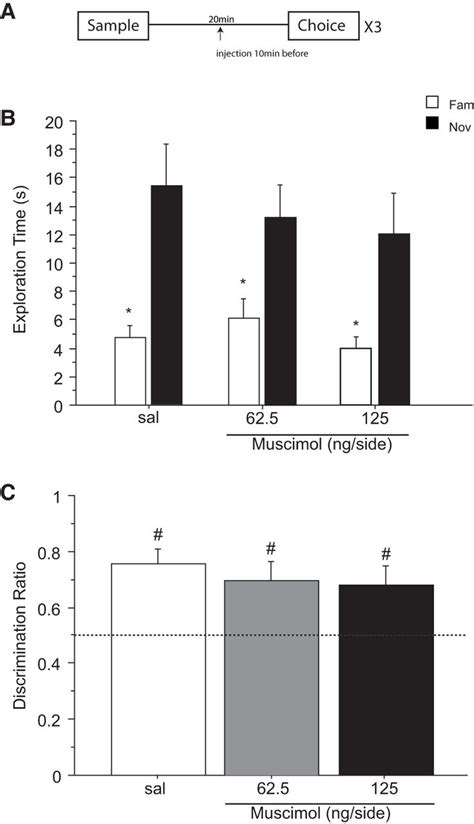 Role Of The Anterior Cingulate Cortex In The Retrieval Of Novel Object