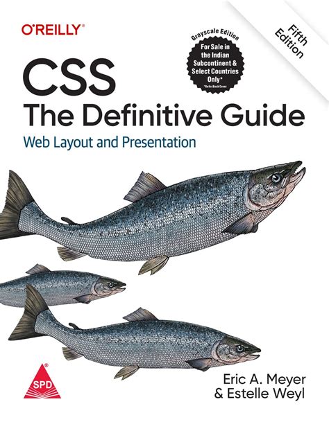 css the definitive guide web layout and presentation fifth edition