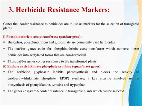 Selectable Marker Genes Pptx