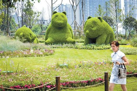 成都大熊猫雕像 最大熊猫 吃大熊猫 大山谷图库