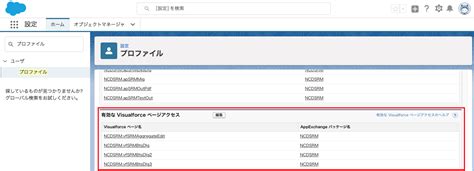 Step1 Visualforceページの作成と権限の設定 Smart Report Meister ヘルプ