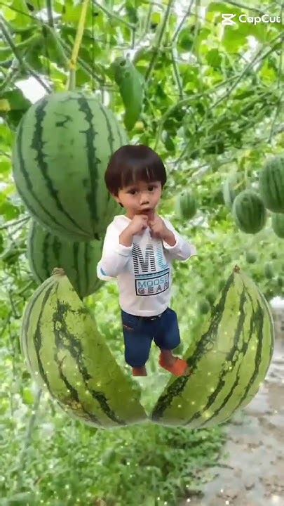 Watermelon Tiktok Life Hack Viralvideo Youtube