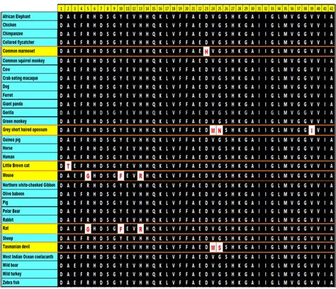 Primary Sequence Of The Aβ Peptide In Different Organisms Arranged In