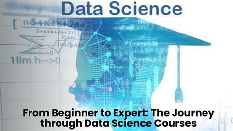 From Beginner To Expert The Journey Through Data Science Courses By