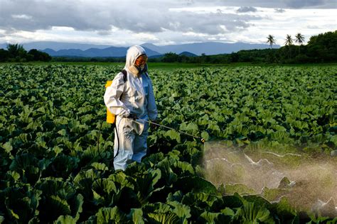 Cómo Hacer Un Uso Responsable De La Fertilización Nevian Fertilizantes