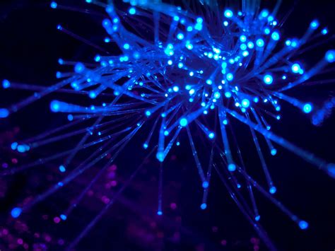 deep auto encoders for clustering understanding and implementing in