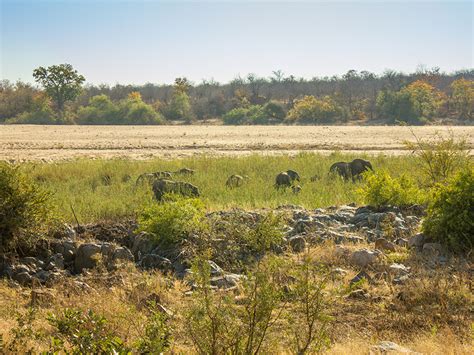 Explore Mthimkhulu Wilderness Trails Dream Hotels