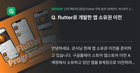 Flutter로 개발한 앱 소유권 이전 인프런 커뮤니티 질문and답변