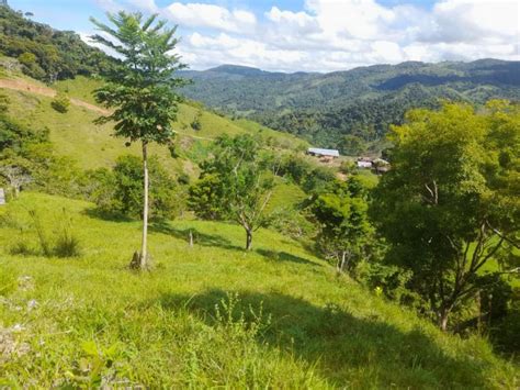 Finca En Venta En Vereda San Roque Antioquia Hectareas