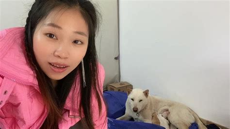生了生了，大年初一这天，光哥家又新添了三位成员，真是好事连连 youtube