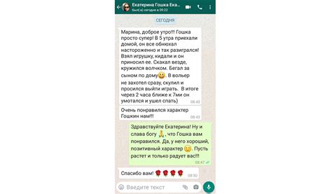Питомник померанских шпицев Из Лагуны Грёз