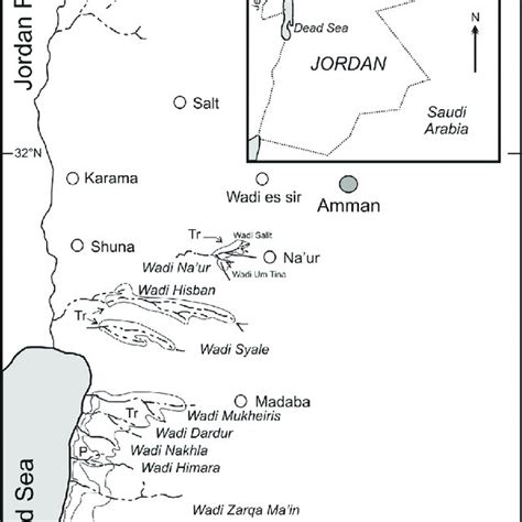 Abdalla Abu Hamad Faculty Member Phd University Of Jordan Amman Uj Department Of