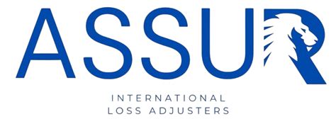 Home Assur International