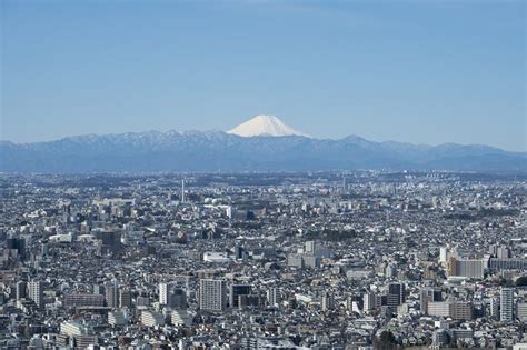 行ってみよう！東京都庁ってどんなところ？