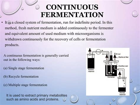 Fermentation Technology Bcppt