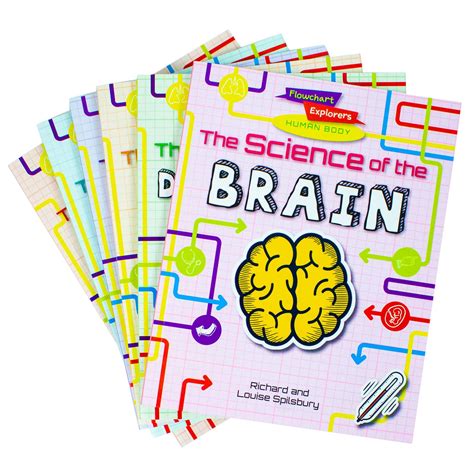Flowchart Explorers Human Body Stem 6 Science Books Set Lowplex Books