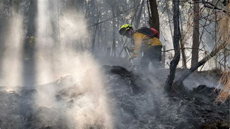 Hectáreas De Bosques Y Pastizales Afectadas Por Incendios Minuto30