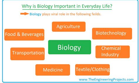 Different Areas Of Biology
