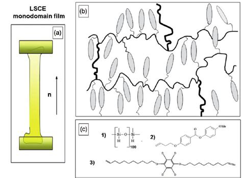 A Schematic View Of A Monodomain Lsce Film And The Nematic Director Download Scientific