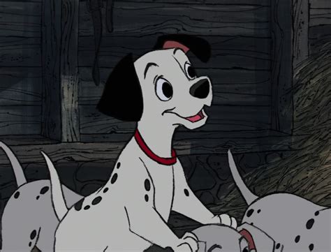 Dumpling The Explorer Trailer And Gallery The Parody Wiki Fandom