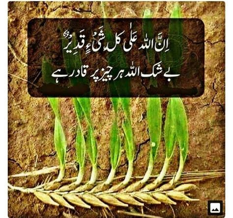 Allah Har Cheez Par Qaadir Hai Urdu Quotes With Images Deep Words