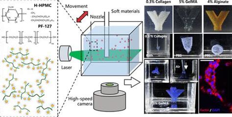 可变刚度软生物材料嵌入式打印的可调支撑浴acs Applied Materials And Interfaces X Mol