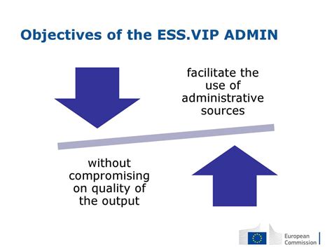 ESS VIP ADMIN Sorina Vâju ppt download