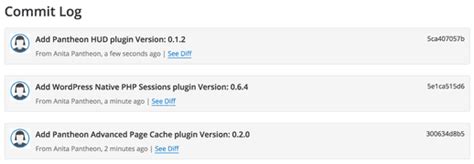 Install Plugins Using Git With Sftp And Wordpress Pantheon Docs