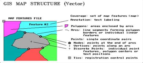 vector model at collection of vector model free for